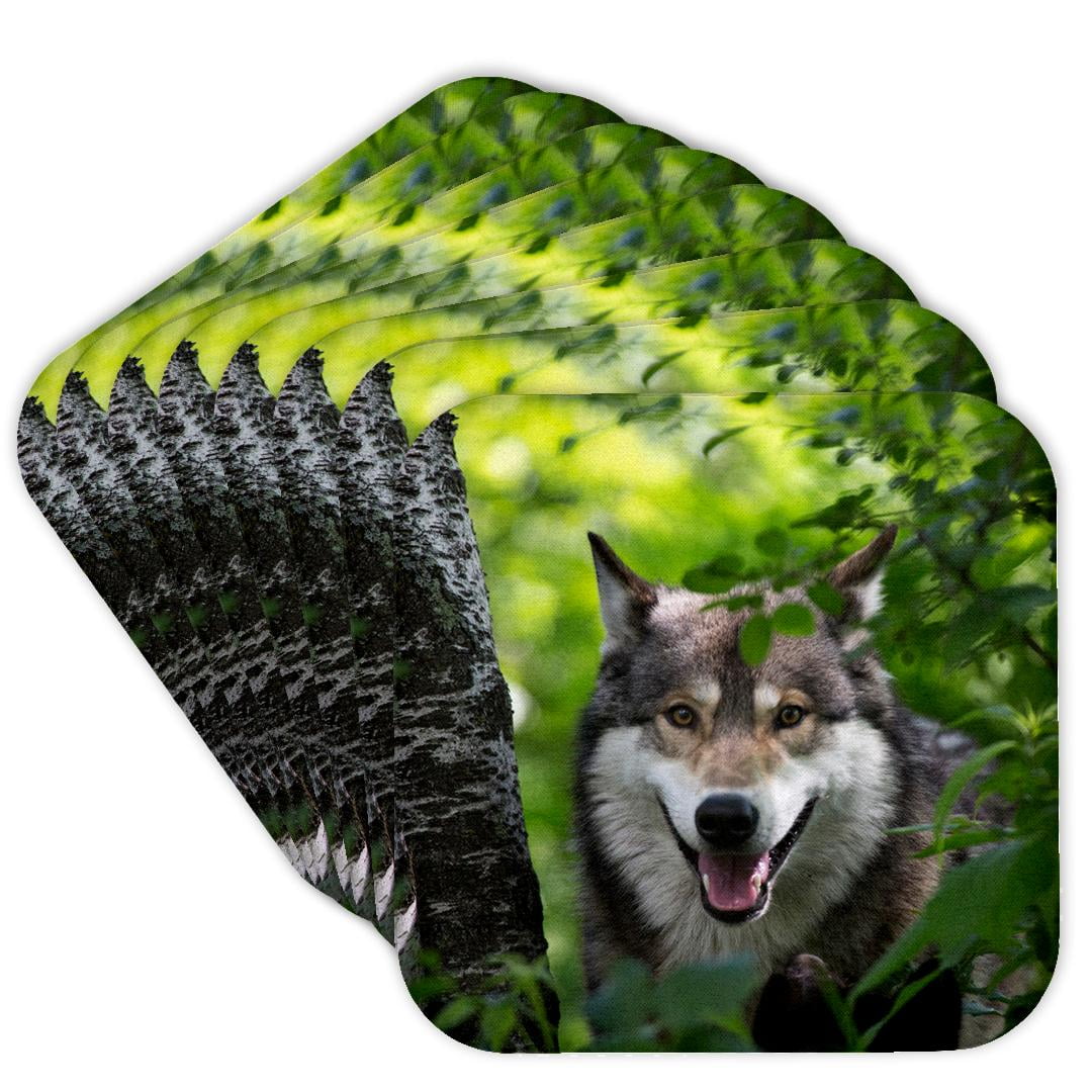 3drose, Usa, Minnesota, Sandstone, Wolf, Set of 8 Coasters - Cork ...