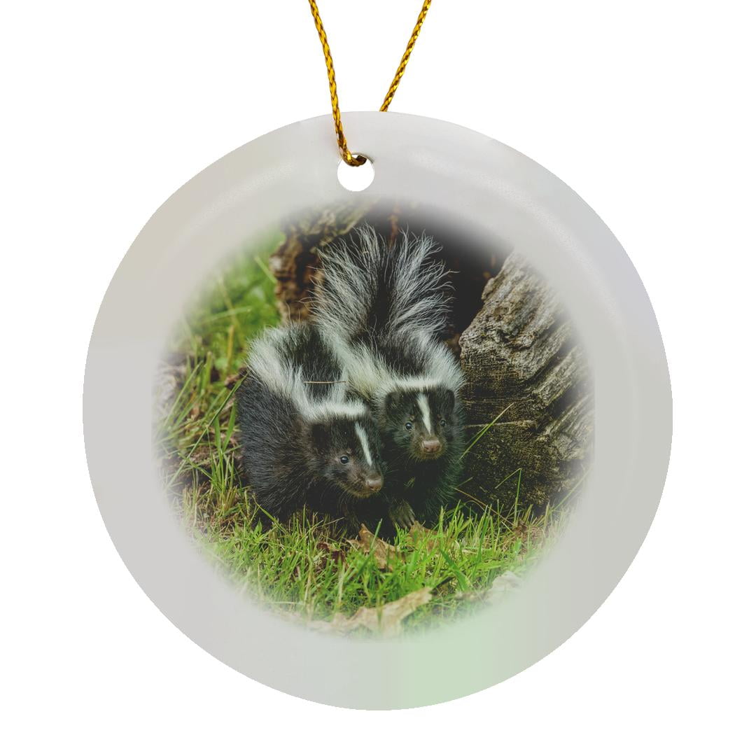 3drose, Usa, Minnesota. Two Striped Skunk Kits, Circle Porcelain ...