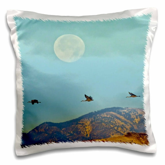 3drose, Usa, New Mexico, Sandhill Crane Birds Flying - Us32 Bjy0008 ...