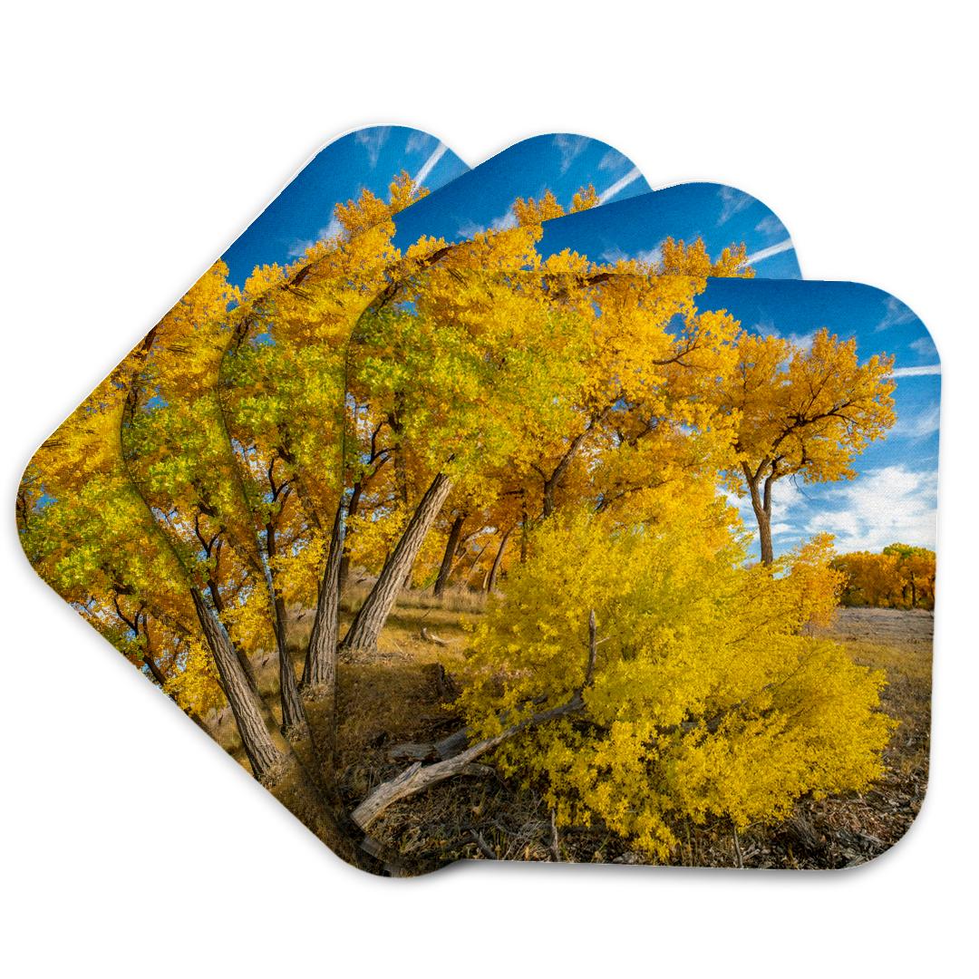 3drose, Usa, New Mexico, Sandoval County. Cottonwood Trees. Autumn ...