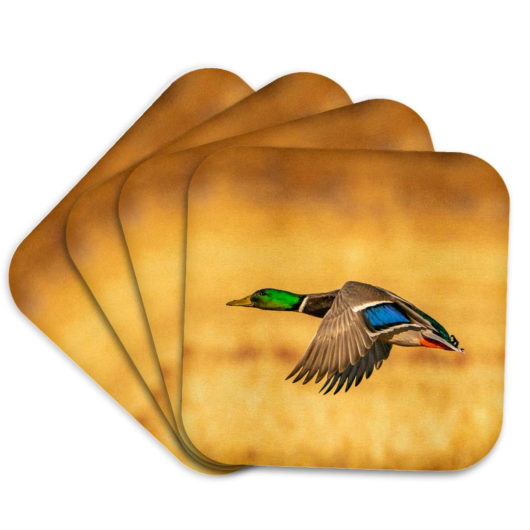 3drose, Usa, New Mexico,wildlife Refuge. Mallard Drake Duck Flying, Set ...