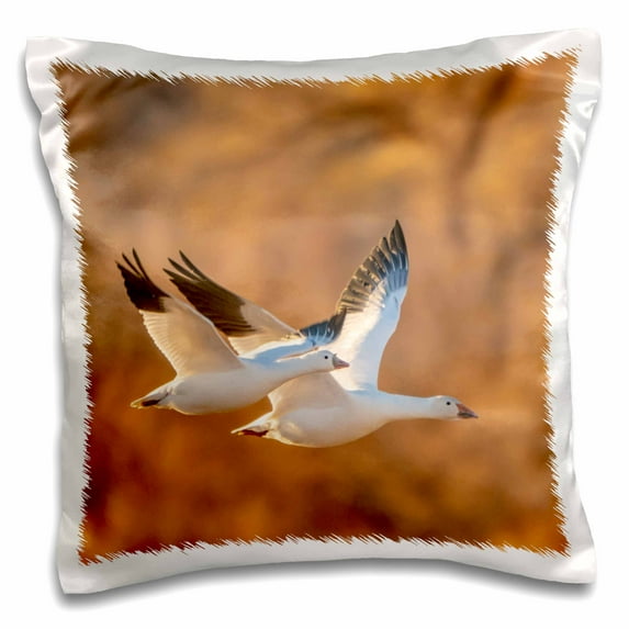 3drose, Usa, New Mexico,wildlife Refuge. Snow Geese Flying, 16x16 inch ...