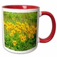 3drose, Usa, Oregon. Columbia George, Arrowleaf Balsamroot in Spring ...