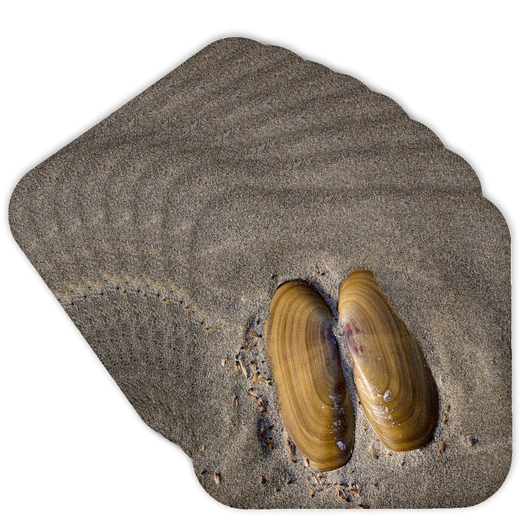 3drose, Usa, Oregon, Oswald West Sp, Mussel Shell and Beach Sand., Set ...