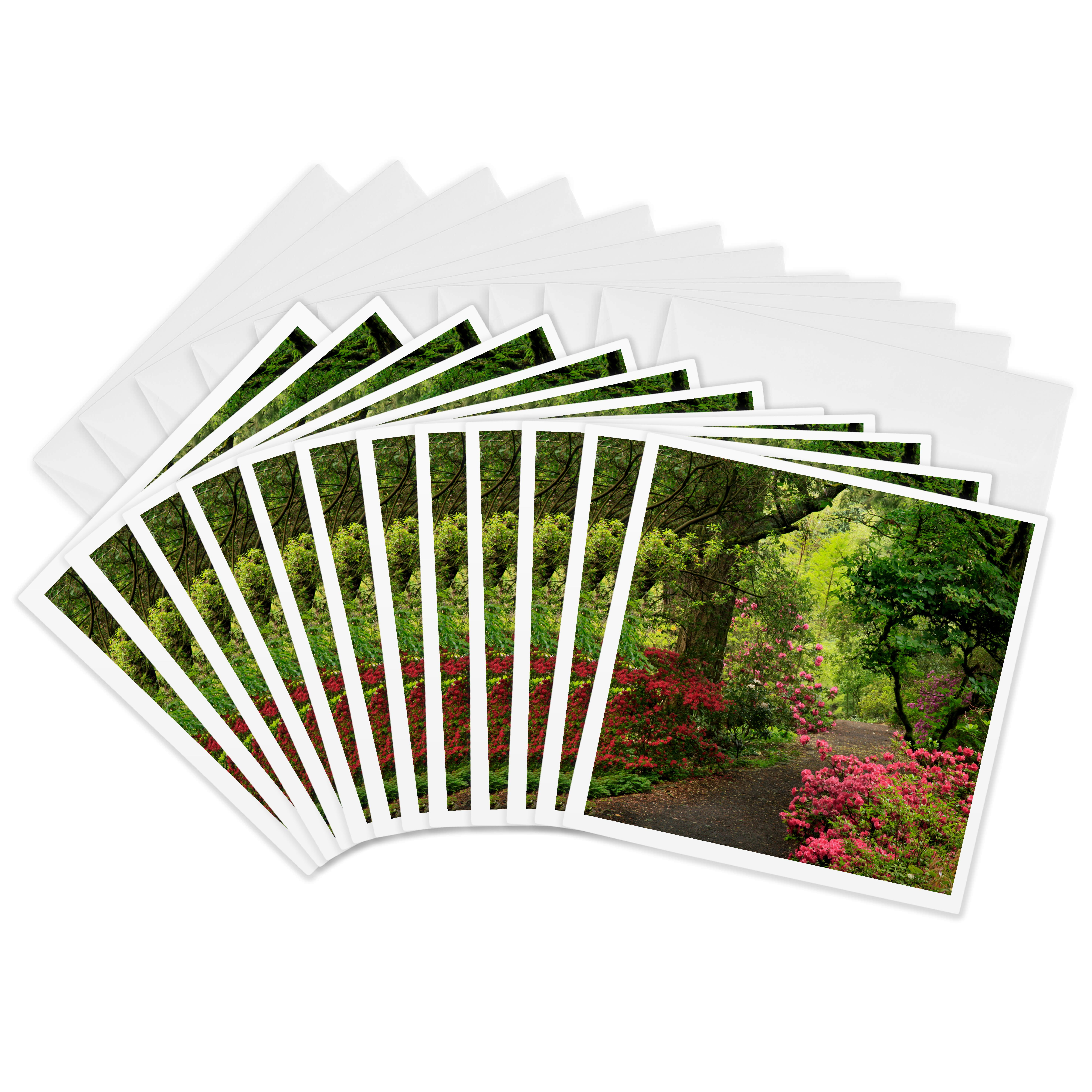 3drose, Usa, Oregon, Portland. Path Through a Garden., 12 Greeting ...