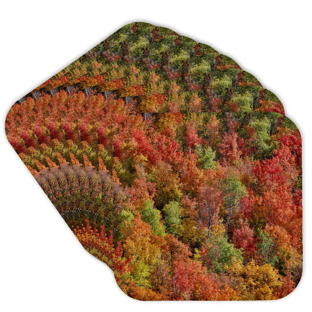 3drose, Usa, Utah. Canyon Maple and Aspen Trees in Fall Color Near ...