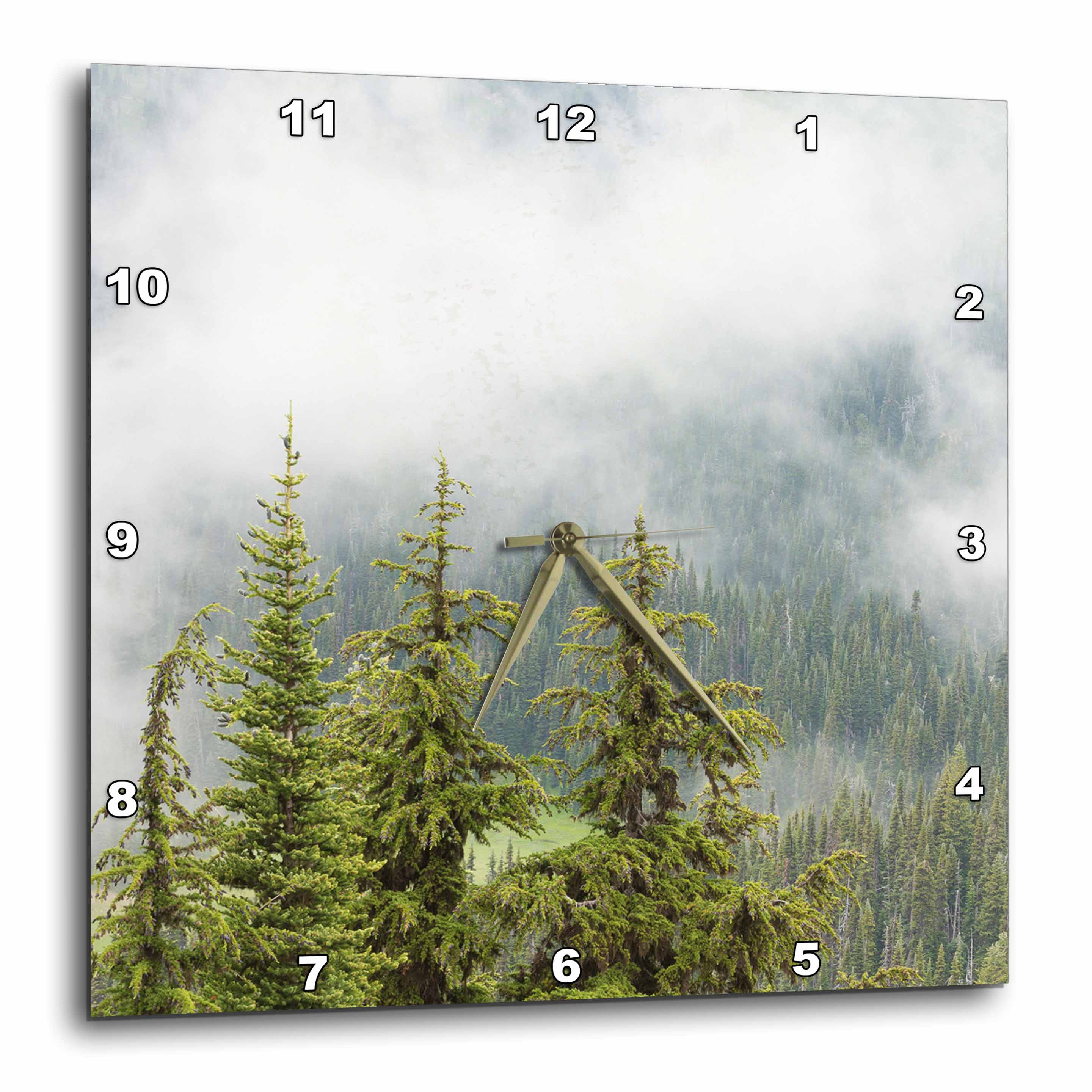 3drose, Usa, Washington, Mount Rainier Np. Landscape of Fog in Forest ...
