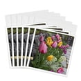 3drose, Usa, Washington, Seabeck. Tulip Flowers - Us48 Bja0343 - Jaynes ...
