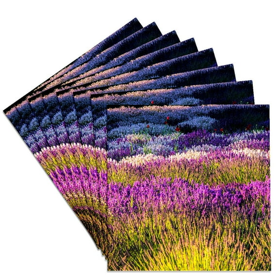 3drose, Usa, Washington, Sequim, Lavender Field, Lavender Field in Full ...