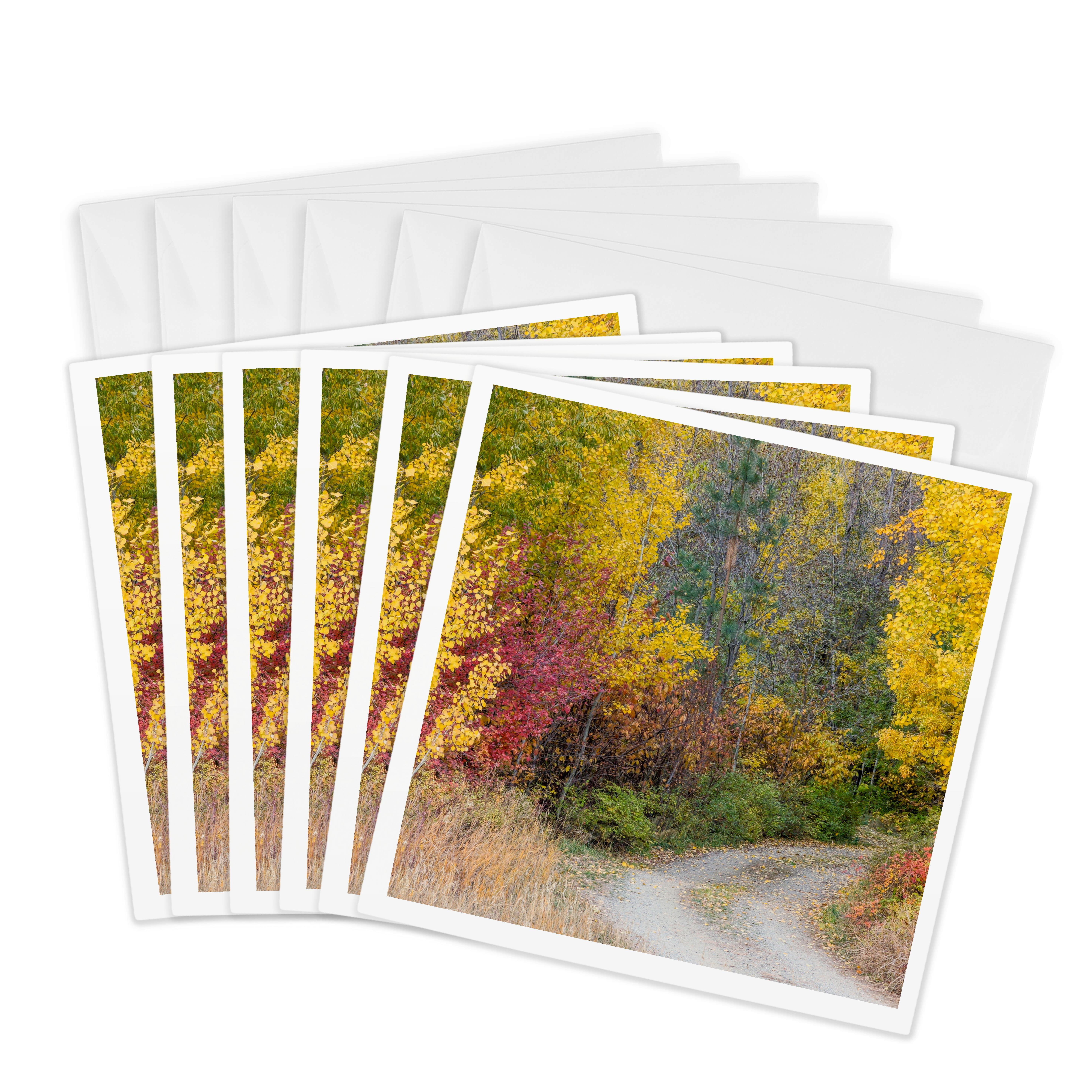 3drose, Usa, Washington State. Aspens and Wild Dogwood in Fall Color ...