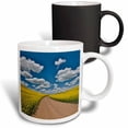 3drose, Usa, Washington State, Palouse. Dirt Road Crossing Canola Field ...