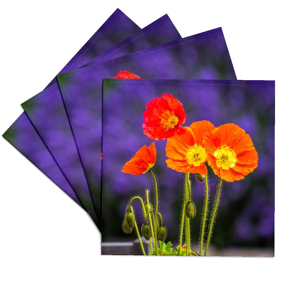 3drose, Usa, Washington State, Poppies on Display, Set of 4 Ceramic ...