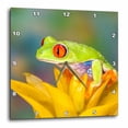 3drose, Usa, Washington State, Sammamish. Red-eyed Tree Frog, 10x10 ...