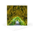 3drose, Usa, Whidbey Island, Langley. Golden Chain Tree on a Metal ...