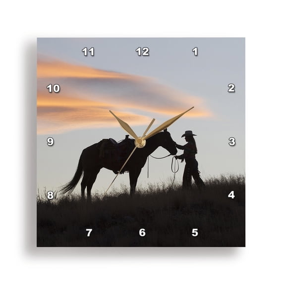 3drose, Usa, Wyoming, Shell. Silhouette of Cowgirl with Horse at Sunset ...