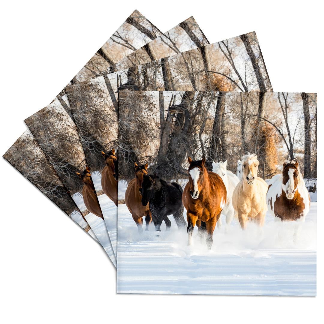 3drose, Usa, Wyoming, Shell, a Herd of Horses, Pr, Set of 4 Ceramic ...