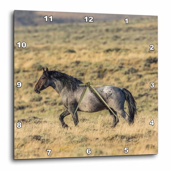 3drose, Usa, Wyoming, Sweetwater County, Red Desert, Wild Stallion ...