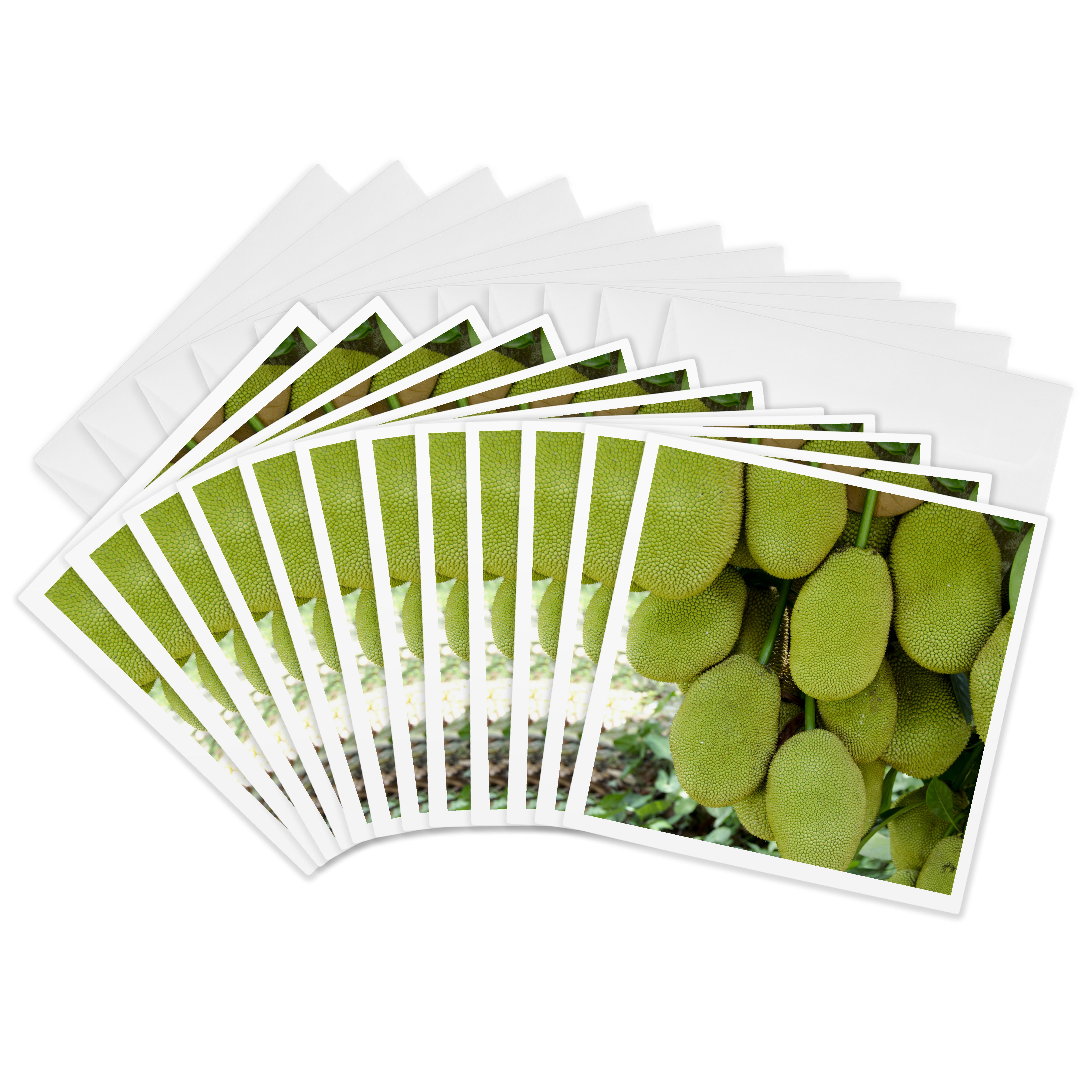 3drose, Vietnam, Cu Chi. Ripe Jack Fruit on Tree - As38 Cmi0550 - Cindy ...