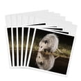 3drose, Virginia Opossum Wildlife, Hill Country, Texas - Na02 Rnu0298 ...