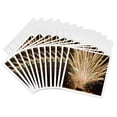3drose, Wa, Seattle, Lake Union, 4th of July Holiday - Us48 Wsu1336 ...