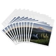 3drose, Washington State. Beargrass Flowers at Eunice Lake. Mt. Rainier ...