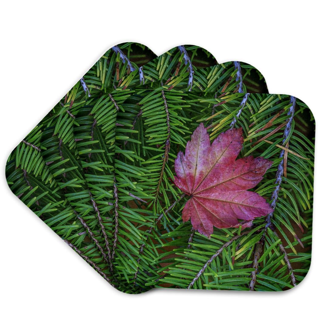 3drose, Washington State, Seabeck. Bigleaf Maple Tree in Fall., Set of ...
