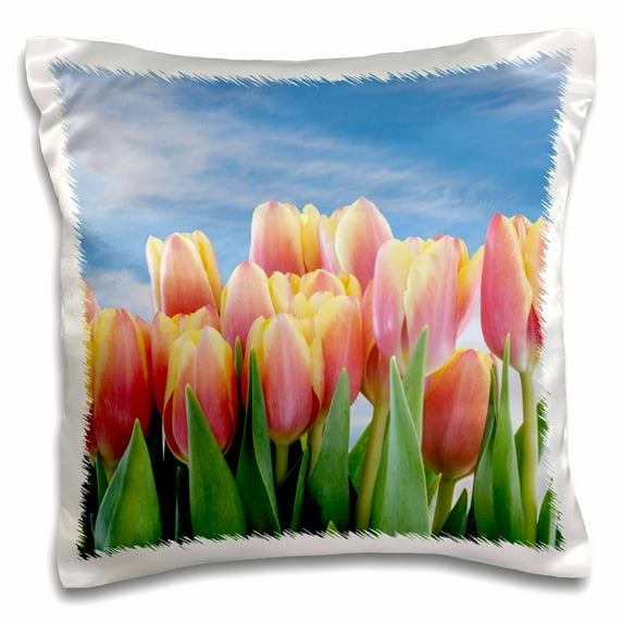 3drose, Washington State, Seabeck. Red and Yellow Tulips in Bloom ...