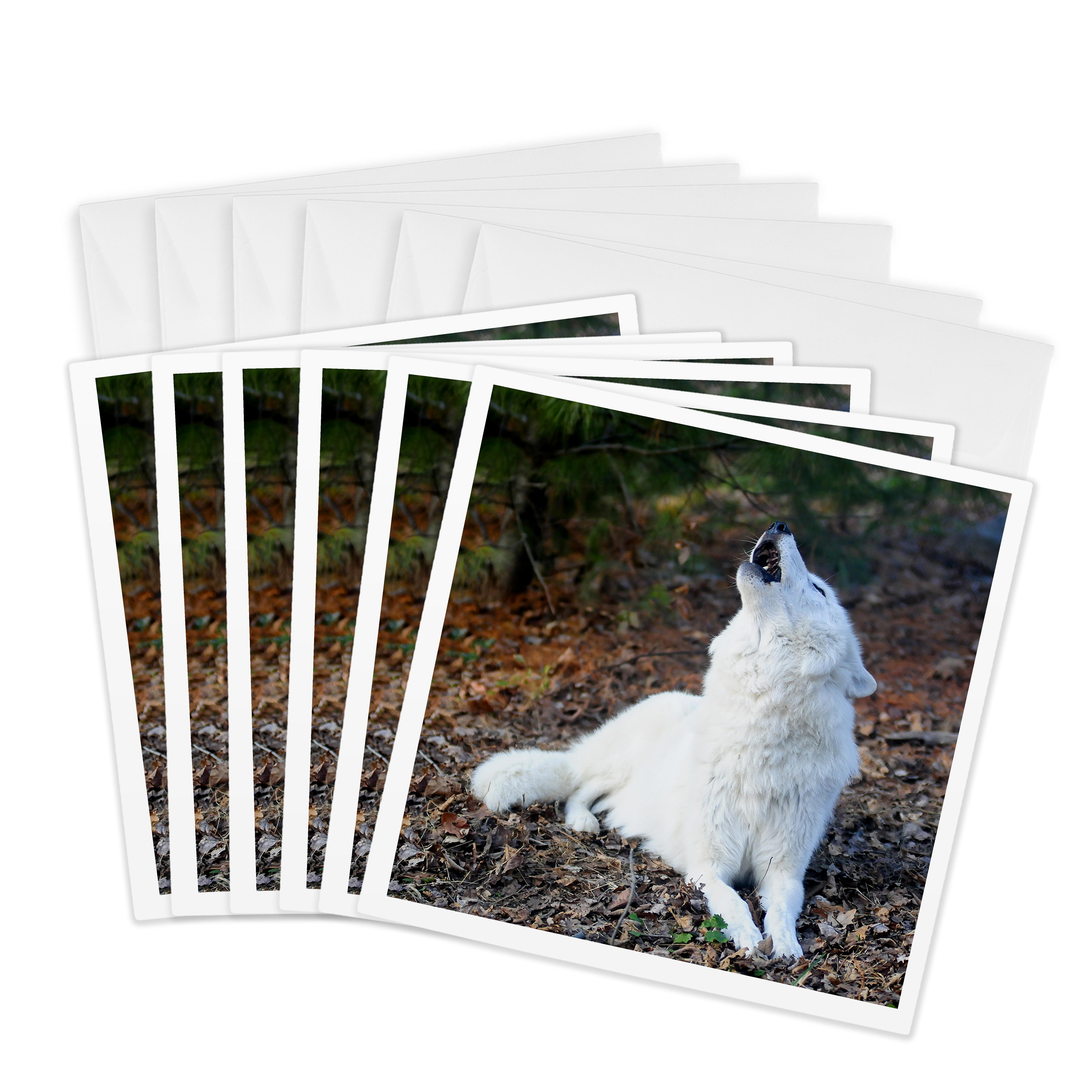 3drose, White Arctic Wolf, Howling 2, 6 Greeting Cards with Envelopes ...