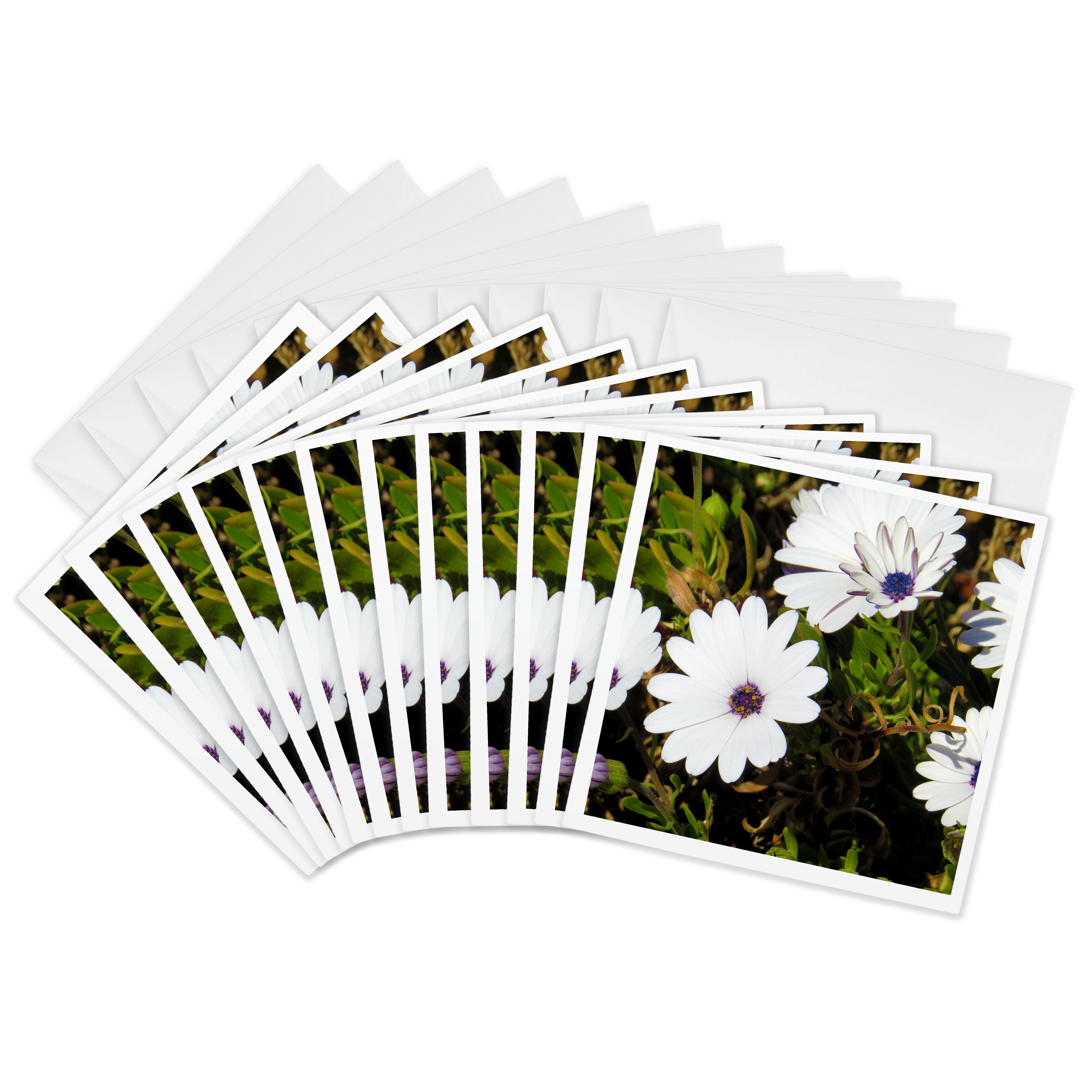 3drose, White Flowers with Little Purple Insides, 12 Greeting Cards ...