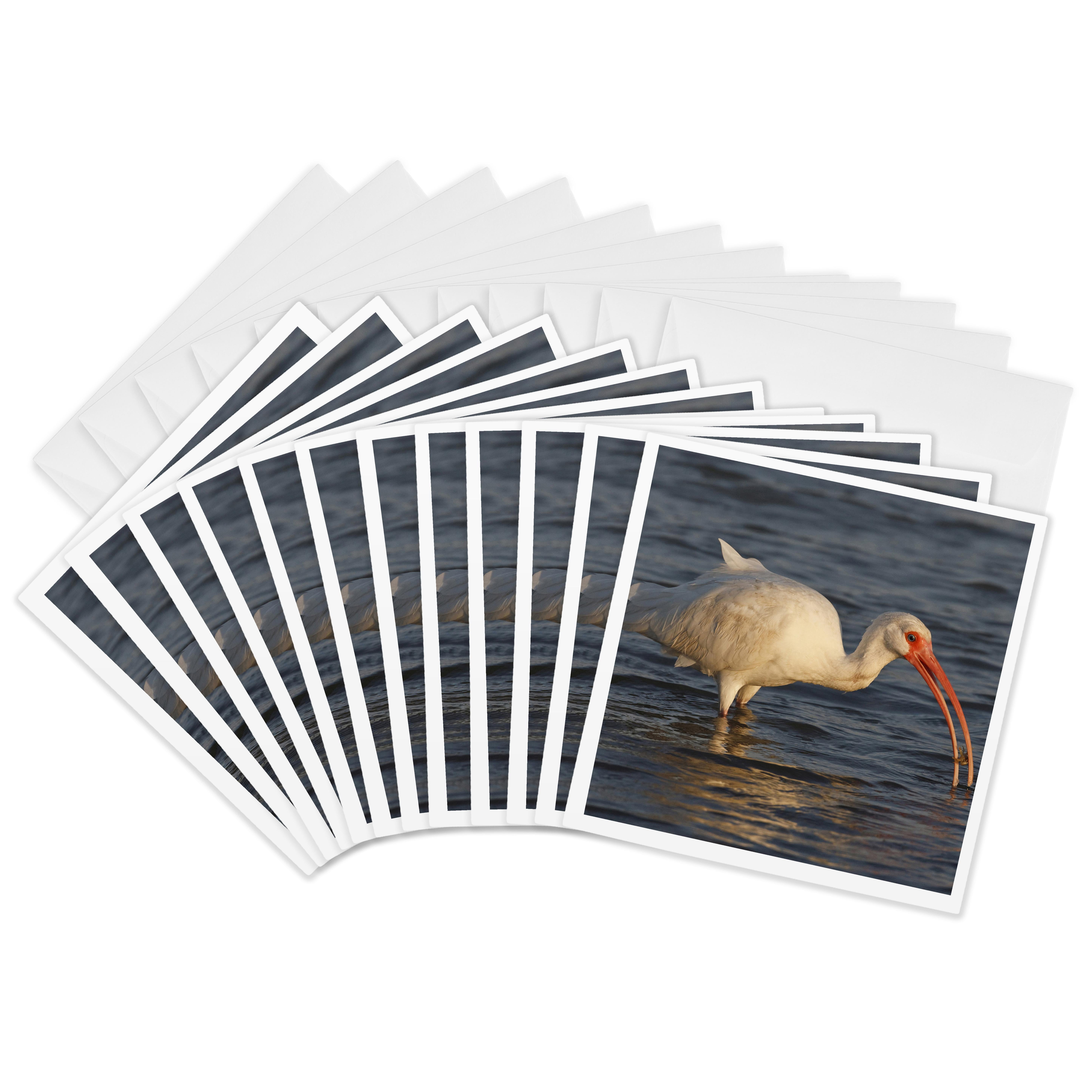 3drose, White Ibis Bird Feeding in Saline Bay - Us44 Ldi0506 - Larry ...