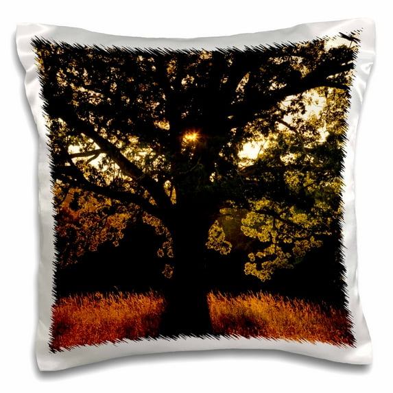 3drose, White Oak Tree, Great Smoky Mountains, Tennessee, Usa - Us43 ...