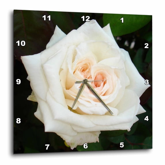 3drose, White Rose - Marriage, Wedding, Wedding Day, Save the Date ...