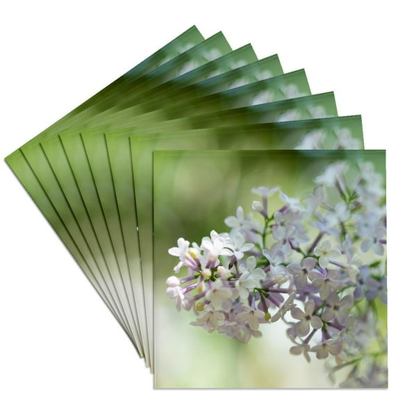 3drose, White and Purple Color Lilac Flowers, Soft Beige, Green ...