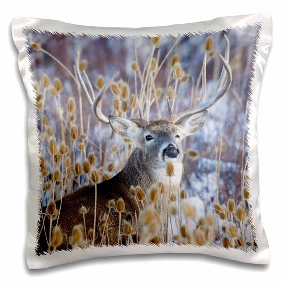 3drose, White-tail Deer Buck., 16x16 inch Pillow Case - Walmart.com