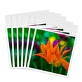 3drose, Wide Opened Fringed Tulip Flower of Orange Color. Festive ...