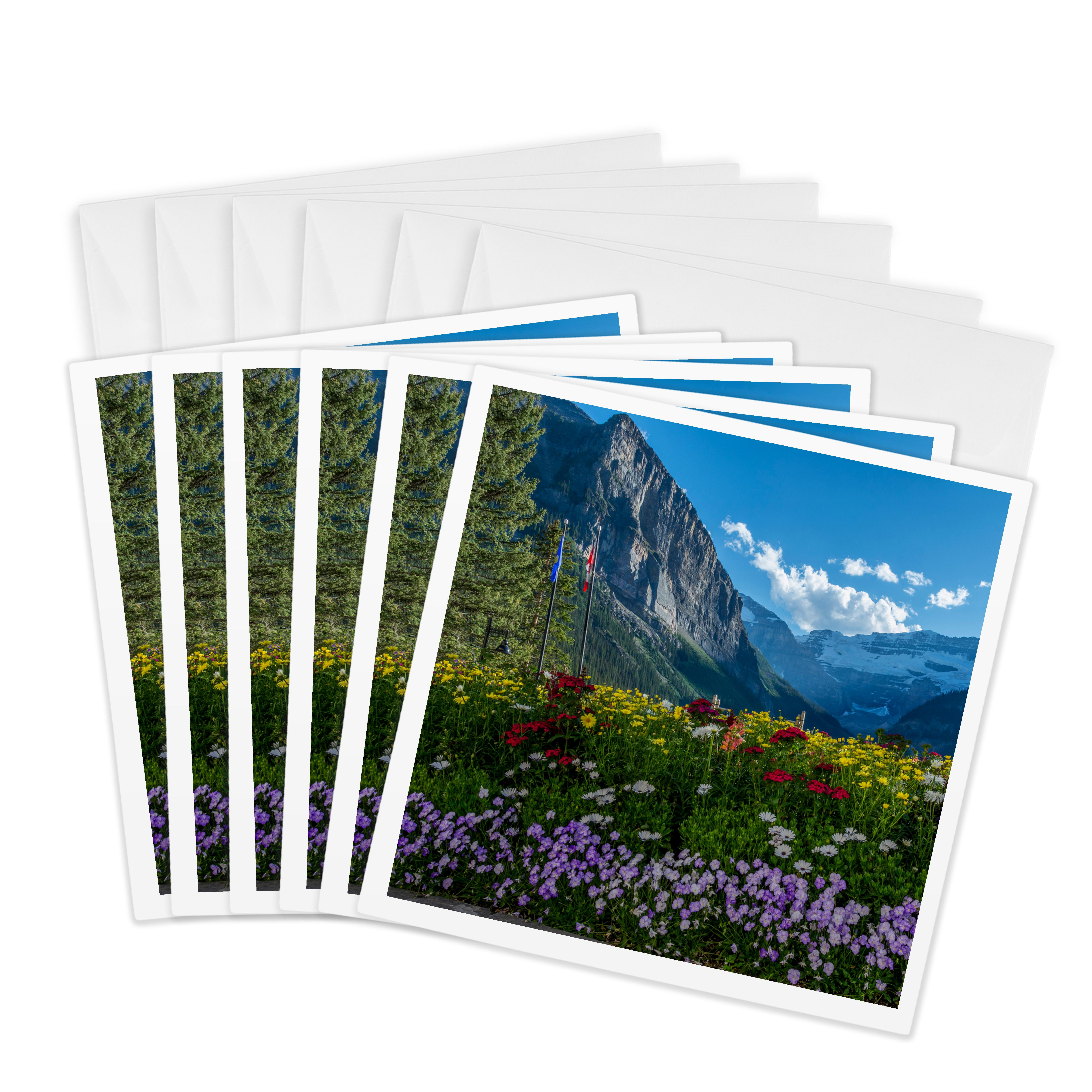 3drose, Wildflowers in Banff National Park, 6 Greeting Cards with ...