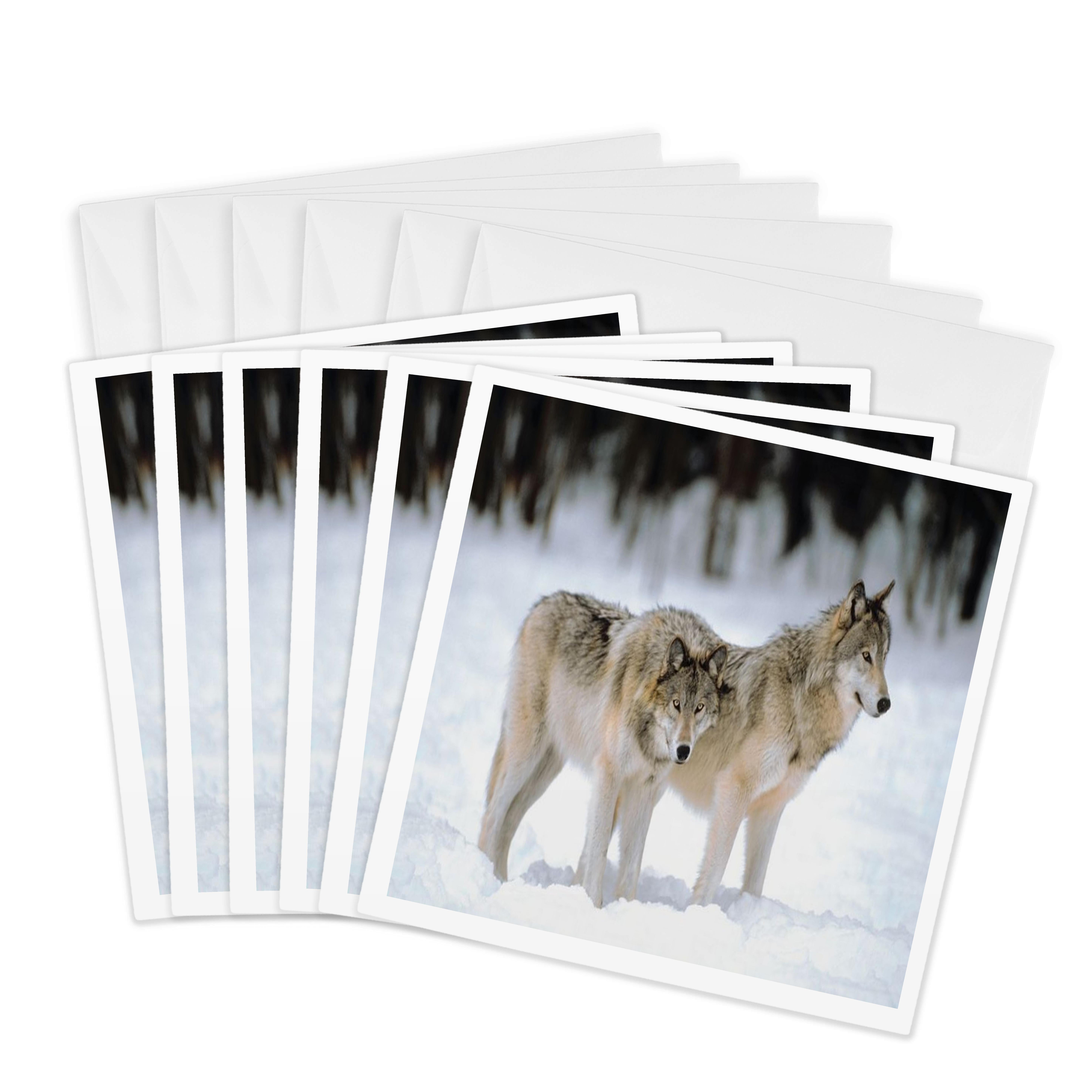 3drose, Winter Theme Pretty Wolves, 6 Greeting Cards with Envelopes ...