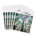 3drose, Winter Tree Dome Abstract Photo, 6 Greeting Cards with ...
