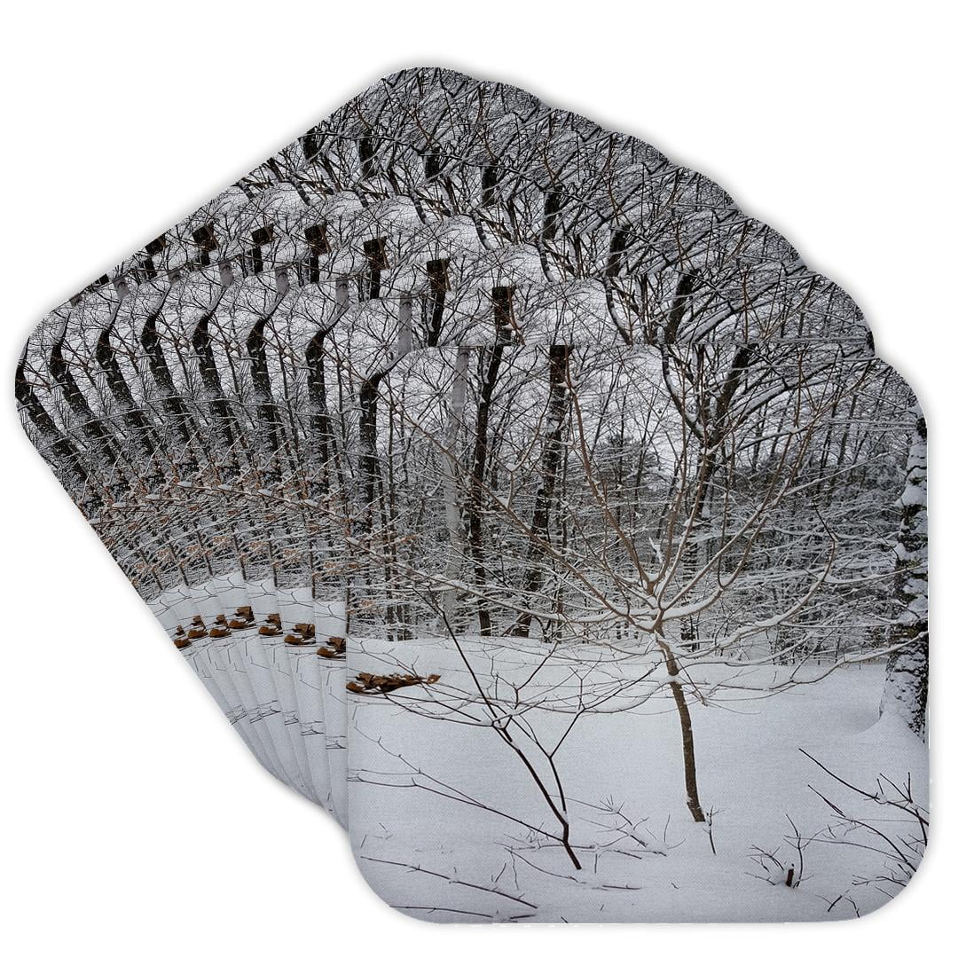 3drose, Winter Weather Beautiful Scene, Set of 8 Coasters - Soft ...