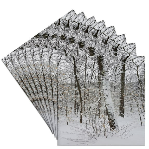 3drose, Winter Weather Snowy Trees, Set of 8 Ceramic Tile Coasters ...