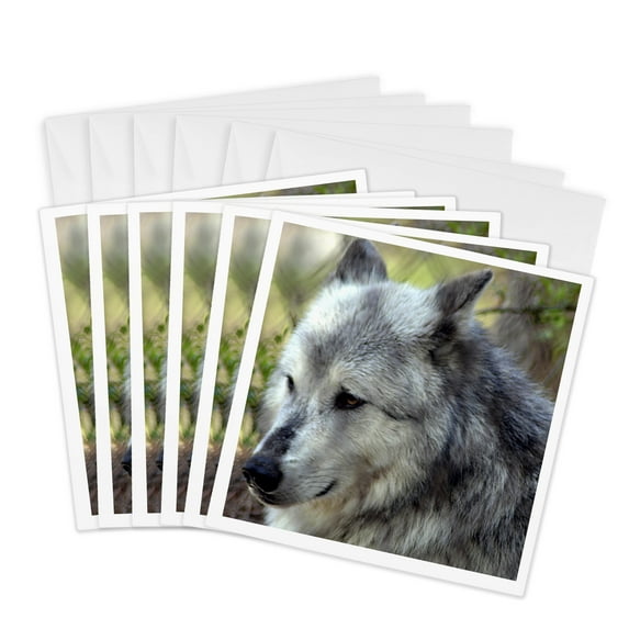 3drose, Wolf, 6 Greeting Cards with Envelopes - Walmart.com