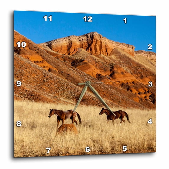 3drose, Wyoming, Shell, Horses Running, Pr, 13x13 Wall Clock - Walmart.com
