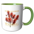 3drose, Wyoming Territory Flower the Desert Paintbrush, 15oz Two-tone ...