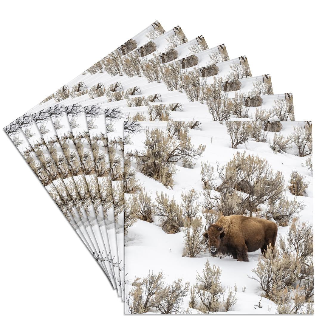 3drose, Wyoming, Yellowstone N.p. Bison in Snow., Set of 8 Ceramic Tile ...