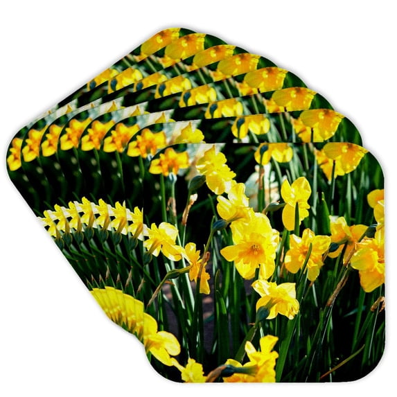 3drose, Yellow Daffodil Flowers, Green Stems, Leaves. Spring in the ...