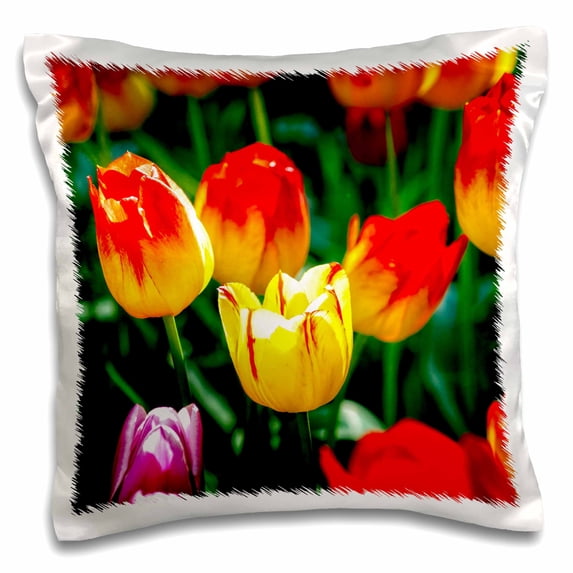 3drose, Yellow Tulip Flower on a Sunlit Flowerbed. Red, Purple Tulips ...