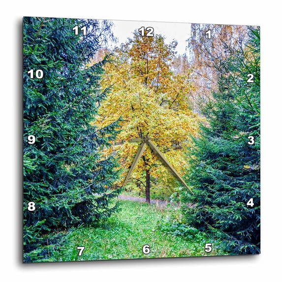 3drose, Young Oak Tree Between Two Fir Trees on a Wet Autumn Day, 15x15 ...