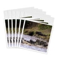 3drose, Zebras and Wildebeest in Mara River, Kenya-af21 Jre0281 - Joe ...