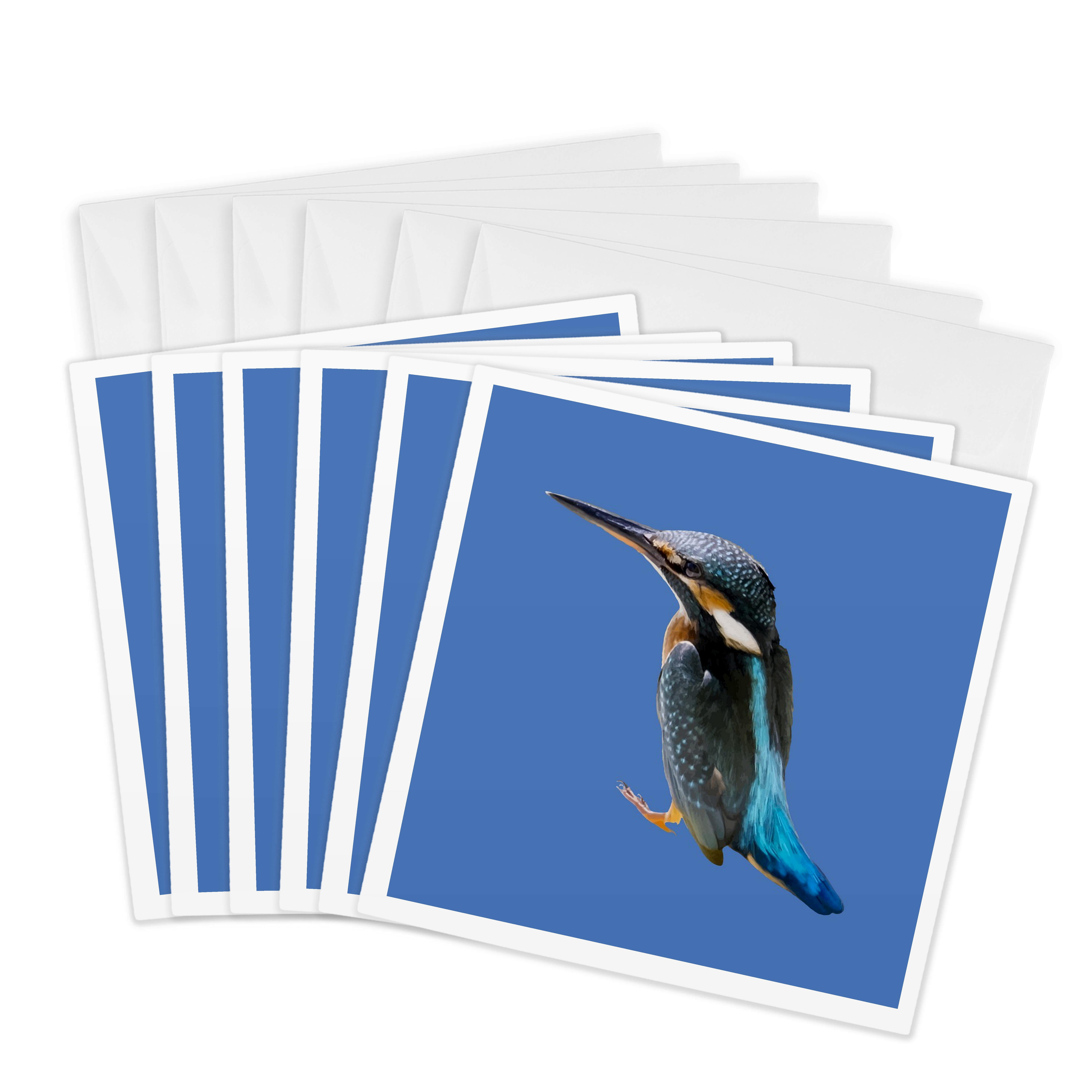 3drose, a Beautiful Diving Water Bird Vector, 6 Greeting Cards with ...