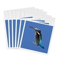 3drose, a Beautiful Diving Water Bird Vector, 6 Greeting Cards with ...